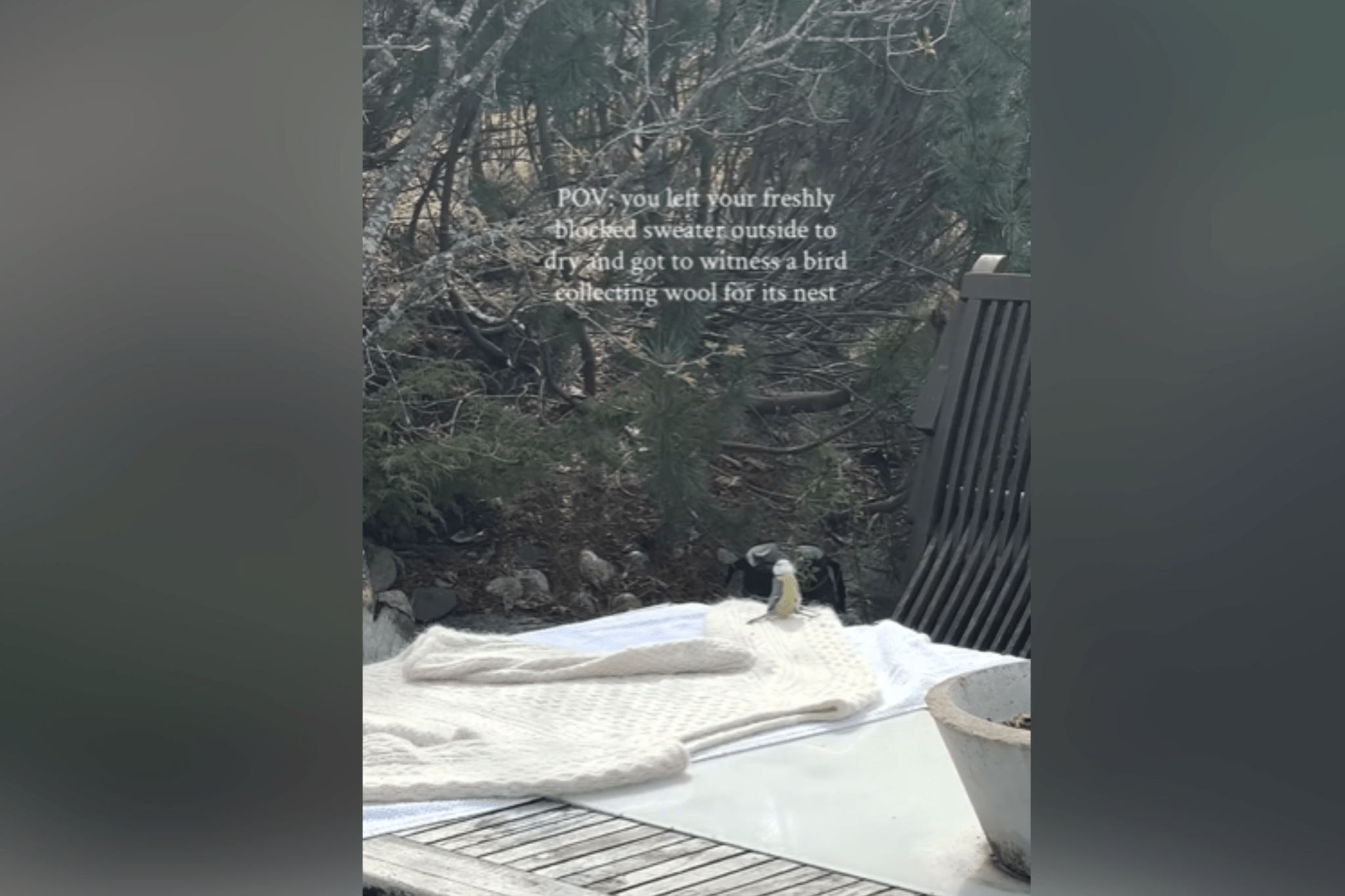 Woman leaves wool sweater to dry—no one expecting nature’s reaction