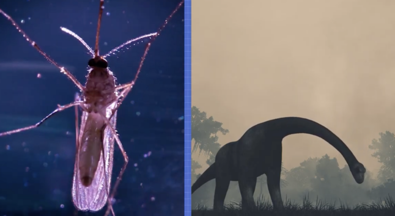 Could Jurassic Park happen in real life?