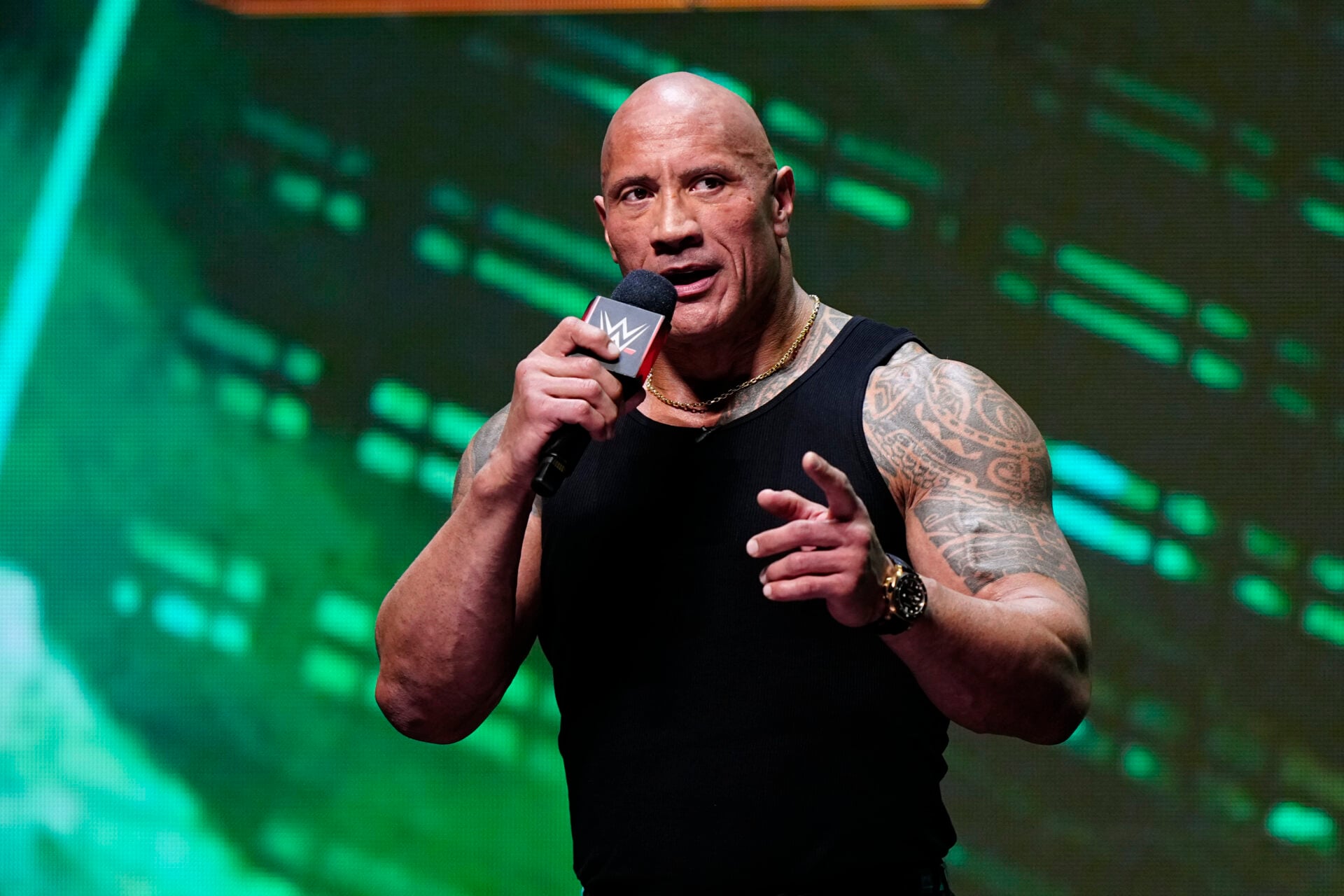 Gary Vaynerchuk leaves The Rock and Steve Austin off his wrestling ...
