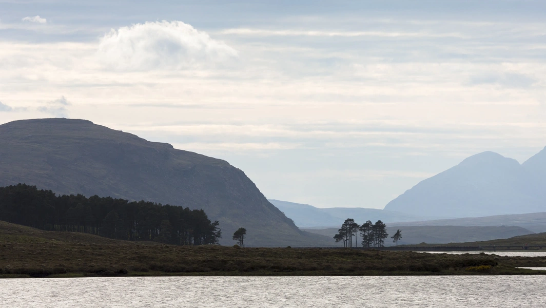 Children’s books, poetry and travel tales celebrate nature