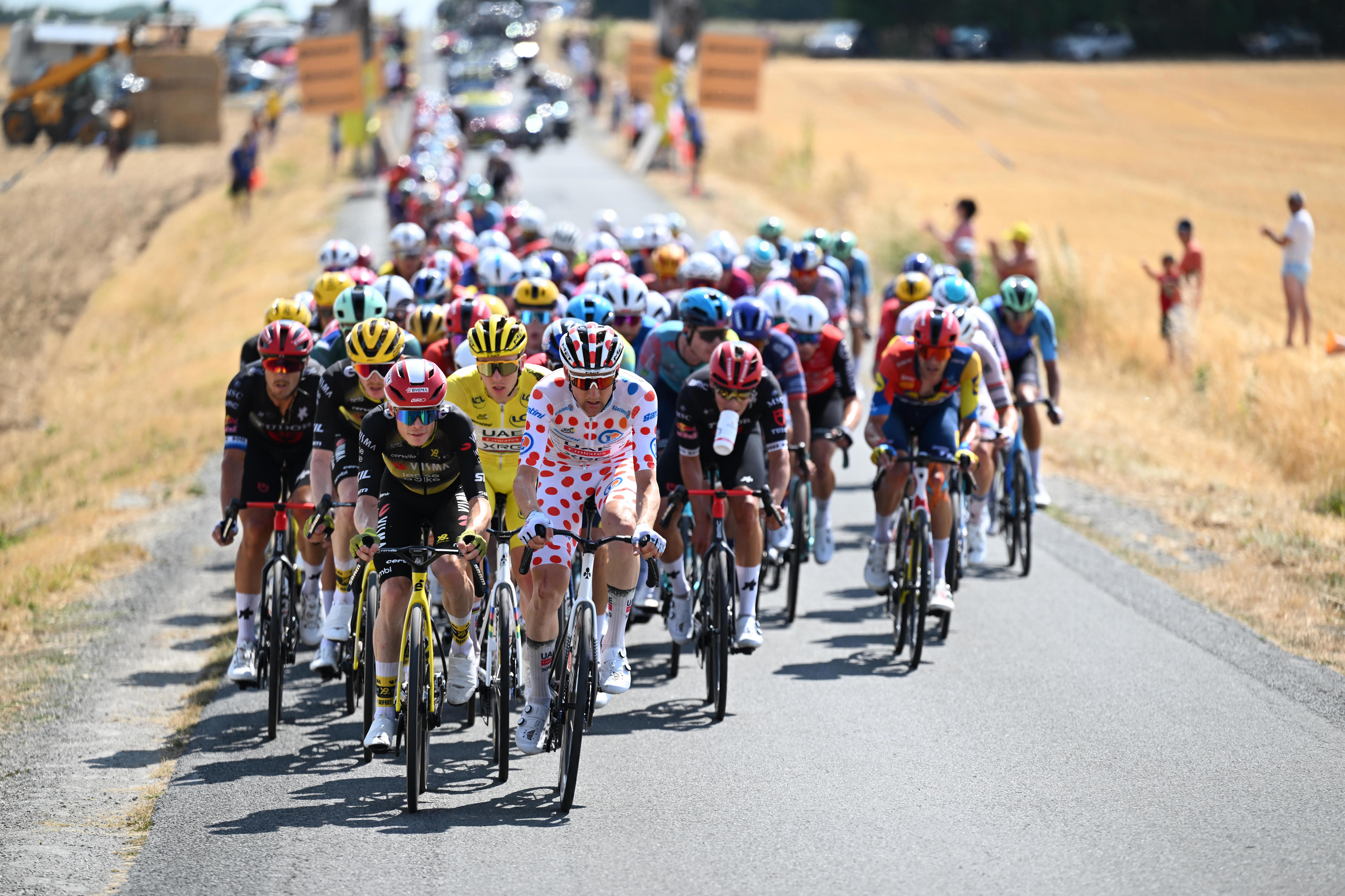 Deelnemers Tour de France 2026: alle selecties met beoordelingen van de ...