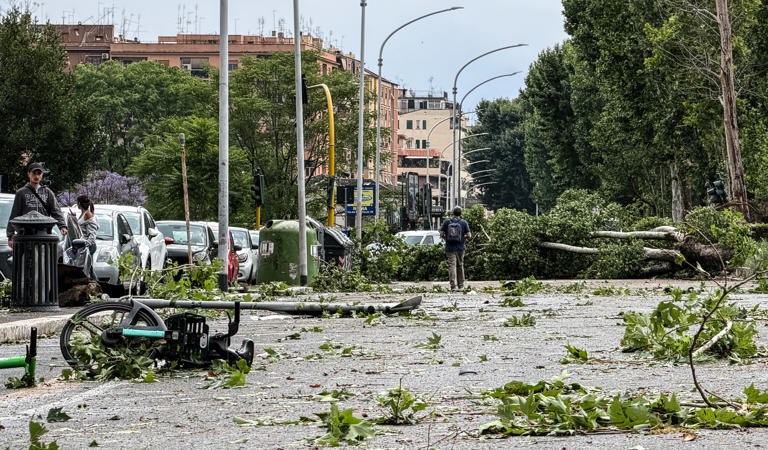 Maltempo: tromba d'aria a Roma, alberi caduti e traffico in tilt