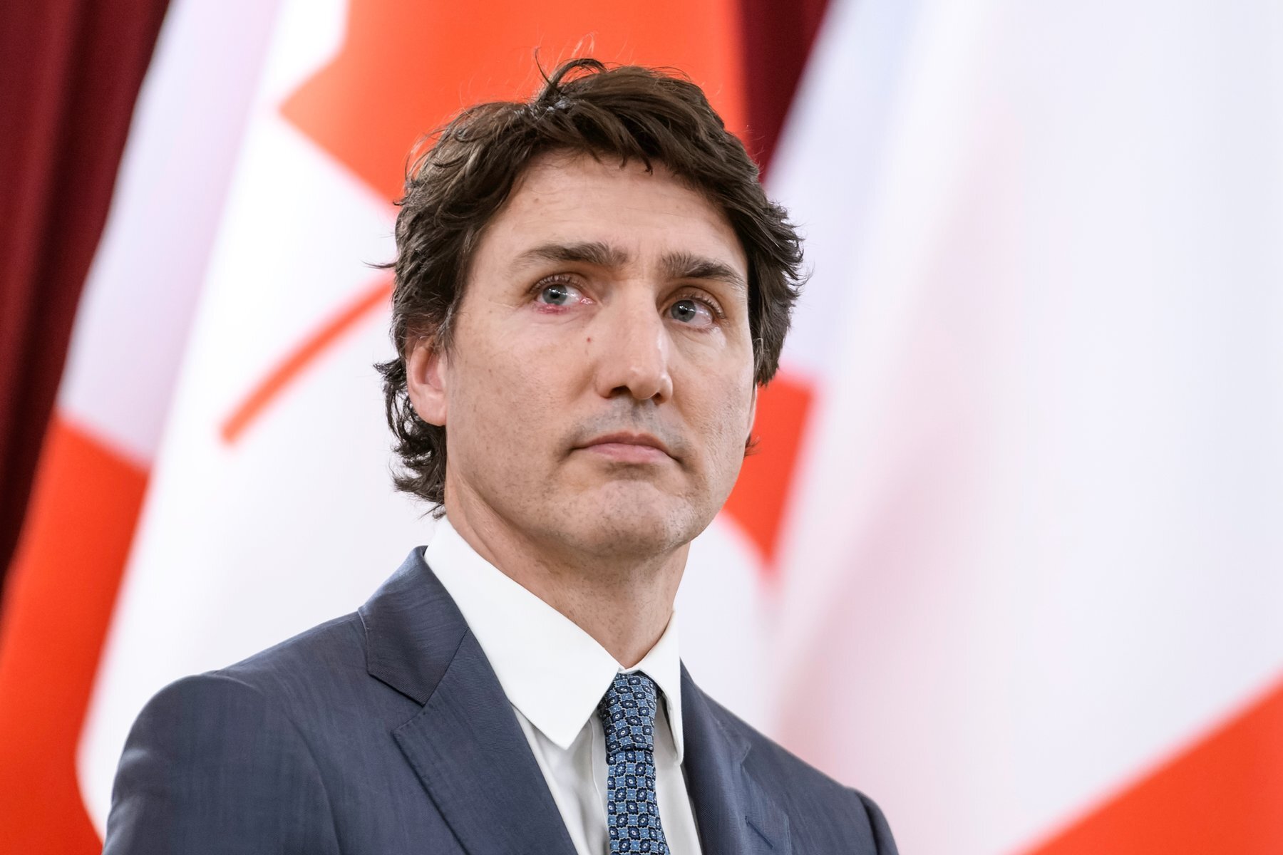 Trees promised by Justin Trudeau end up as wood chips in Abitibi