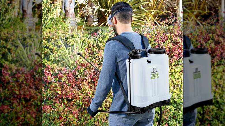 6 Harbor Freight tools every dad will want to have this summer