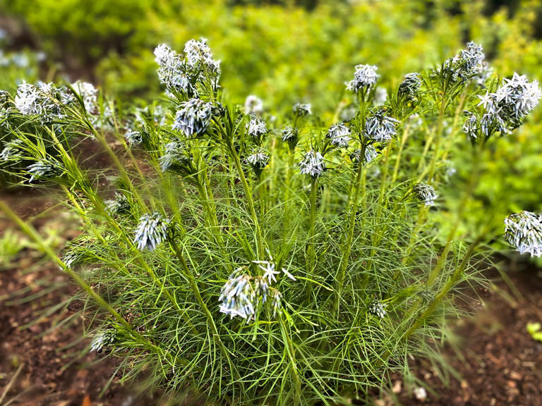 The 70/30 gardening rule is the secret to a beautiful garden all year long