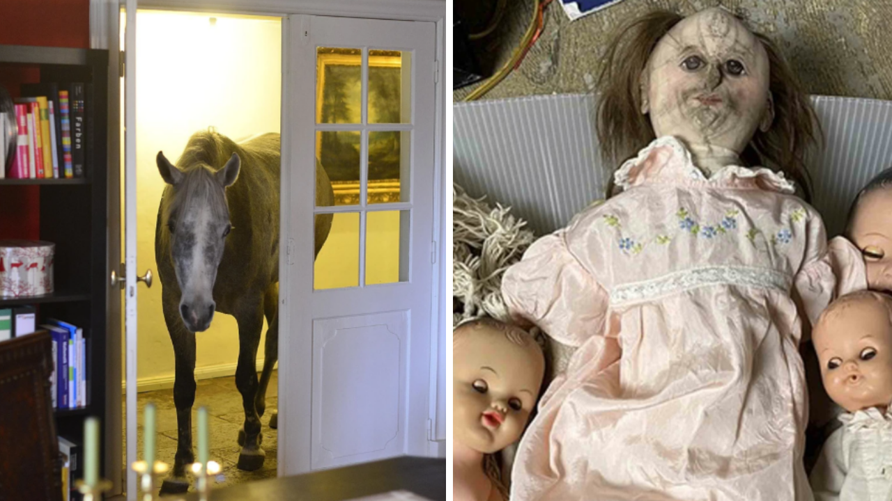 25 unusual things people came across in someone else’s home