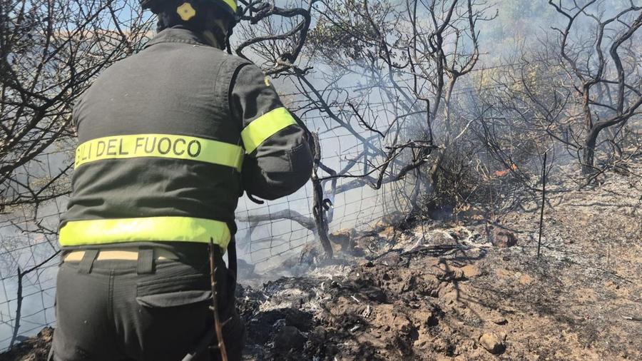 Allarme incendi nel Cagliaritano: chiusa la 130 a Elmas, disagi sulla 554
