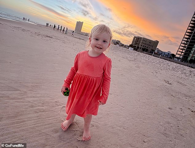 Family sues to block hospital brain death ruling for girl, 2