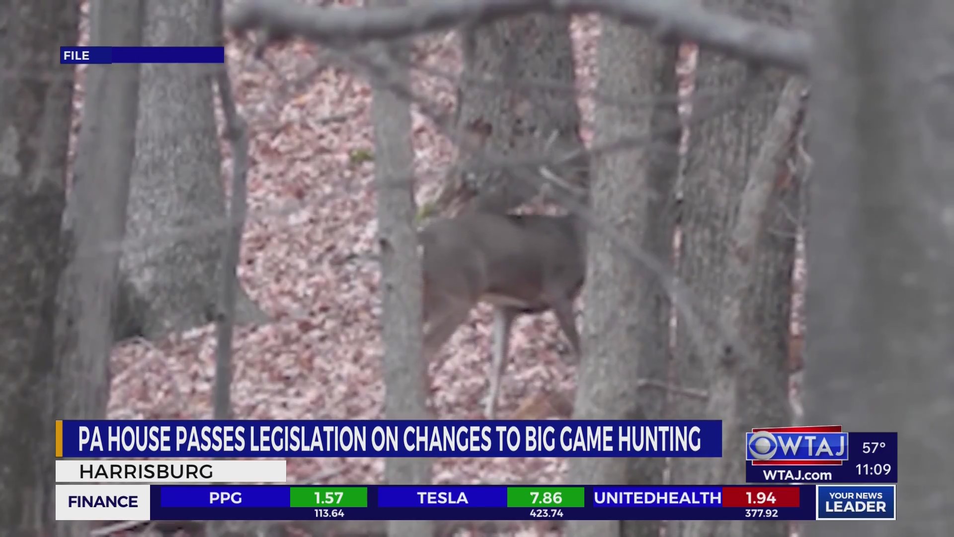 Big game hunting in Pennsylvania could be changing with updates