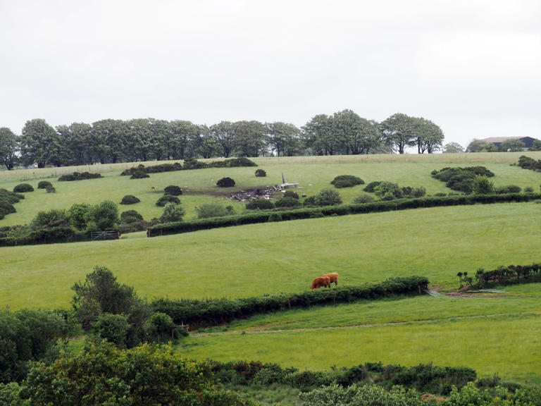 Three dead after Royal Navy helicopter crashes in Devon field