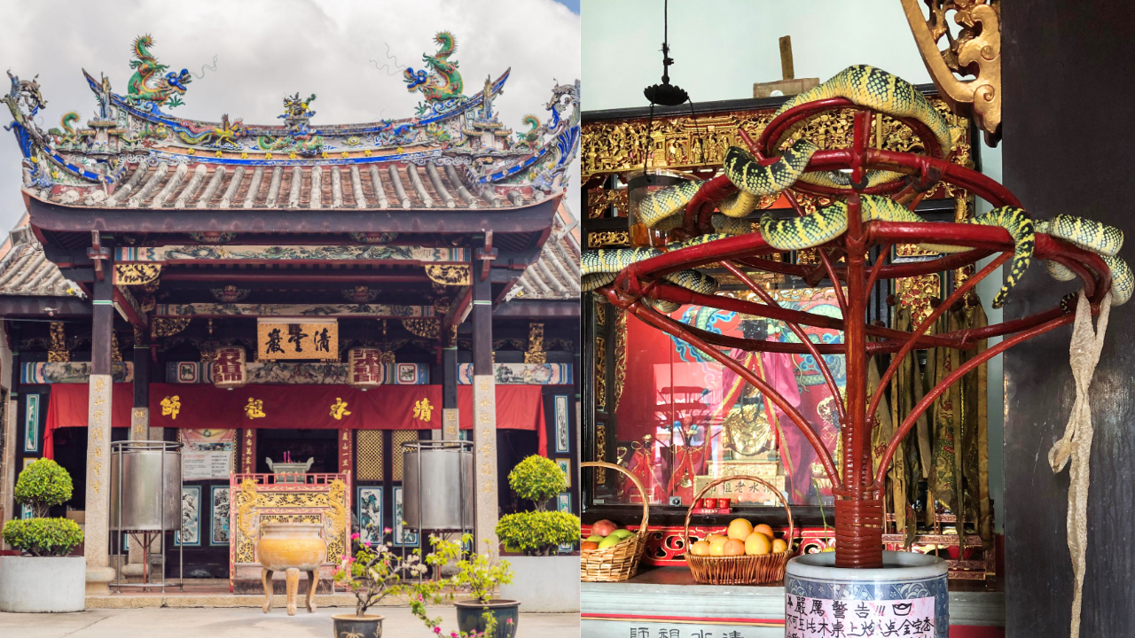 Inside Malaysia's snake temple where venomous vipers live among prayer ...
