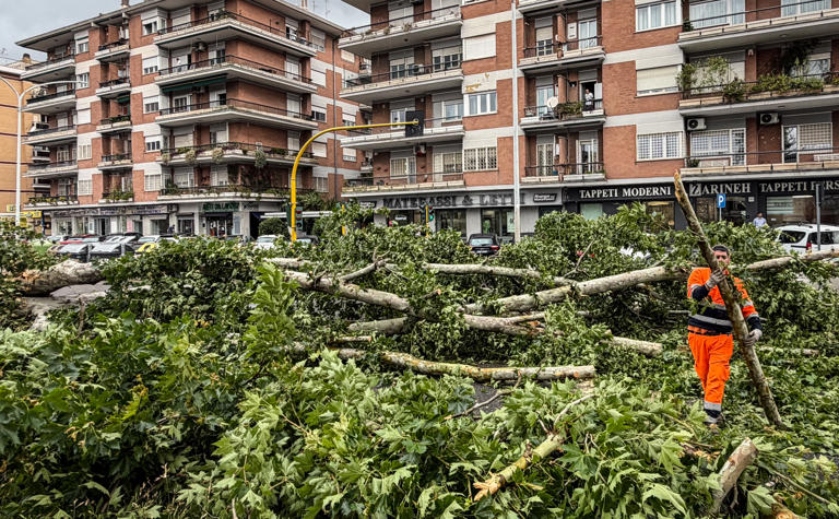 Maltempo: tromba d'aria a Roma, alberi caduti e traffico in tilt