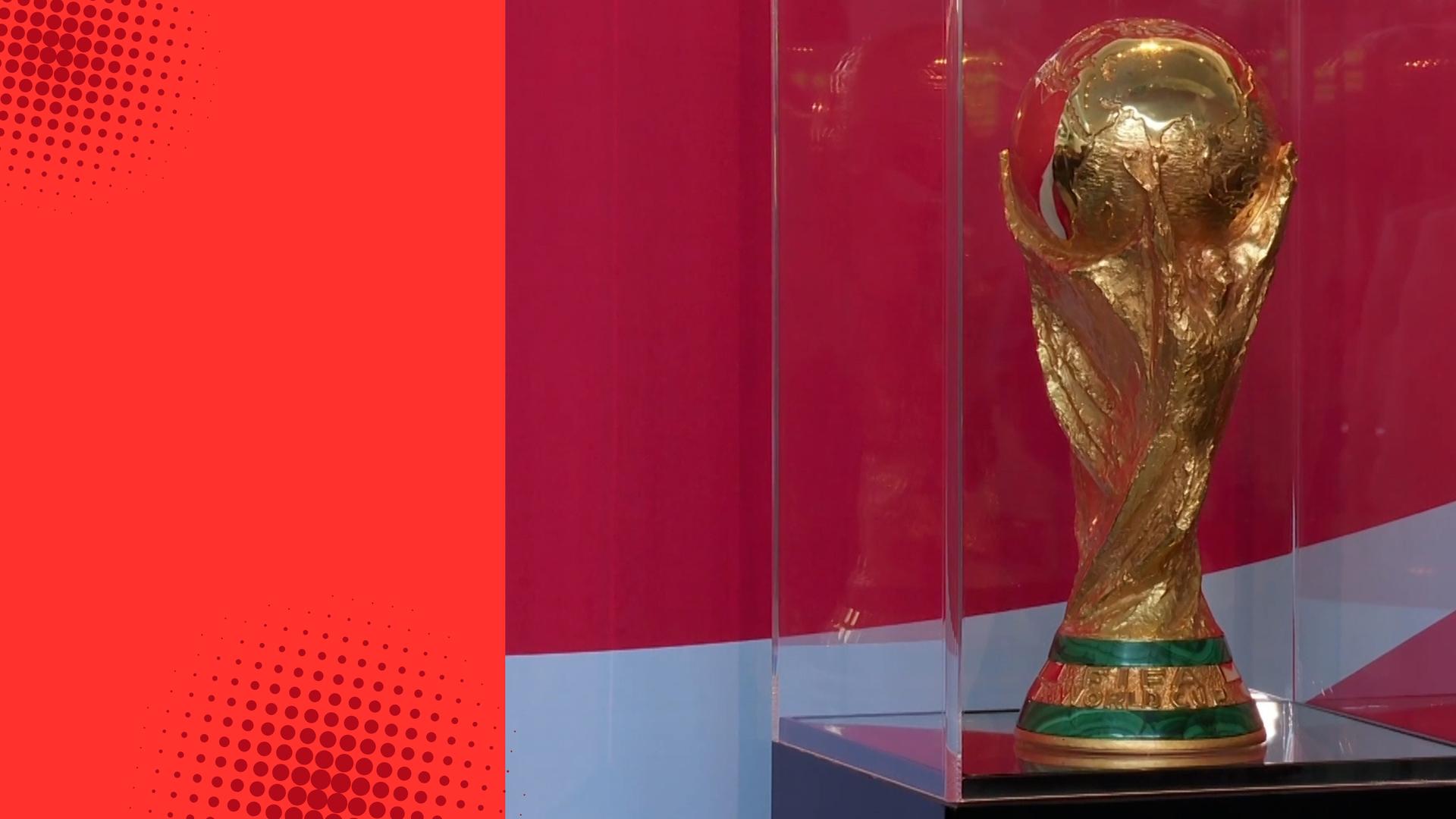 It is what they all want - 2014 champion Bastian Schweinsteiger reveals ...