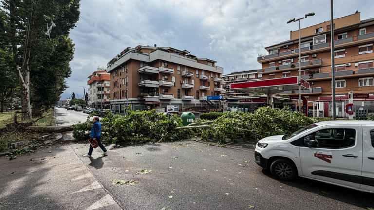 Maltempo: tromba d'aria a Roma, alberi caduti e traffico in tilt