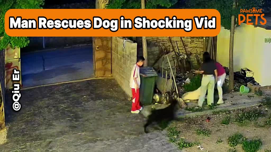 Loyal dog refuses to leave unconscious friend during dramatic rescue