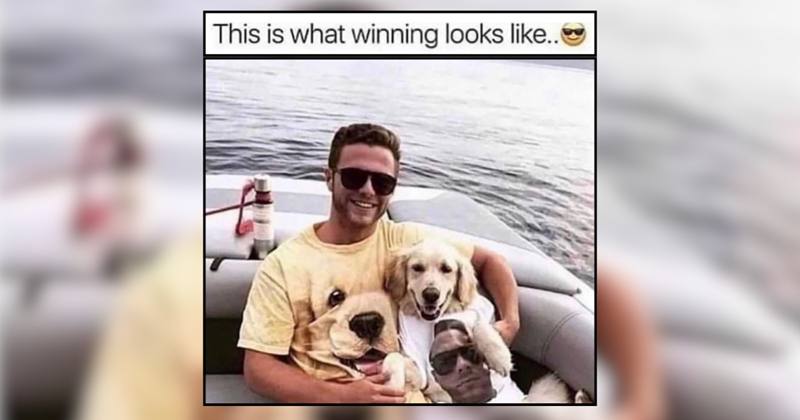 20 happy dog day memes for smiles, snuggles, and sunshine