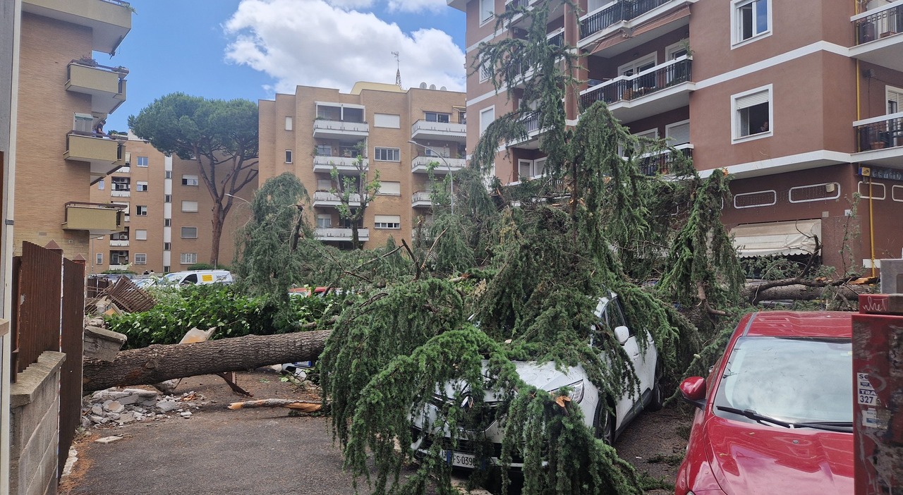 Maltempo a Roma, crolla un comignolo e i pini abbattono un balcone a ...