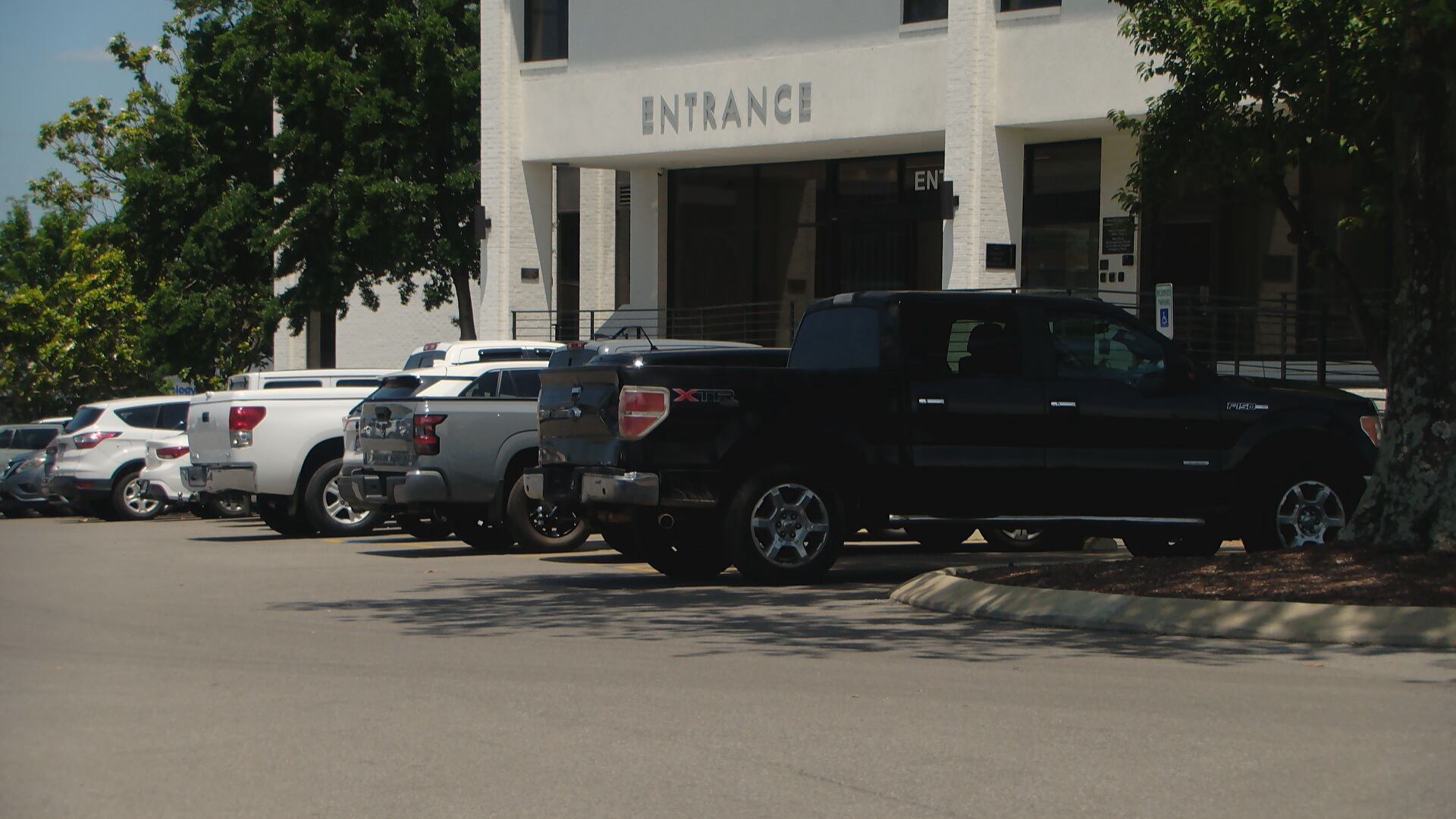 Woman rescues dog from hot car, owner not charged
