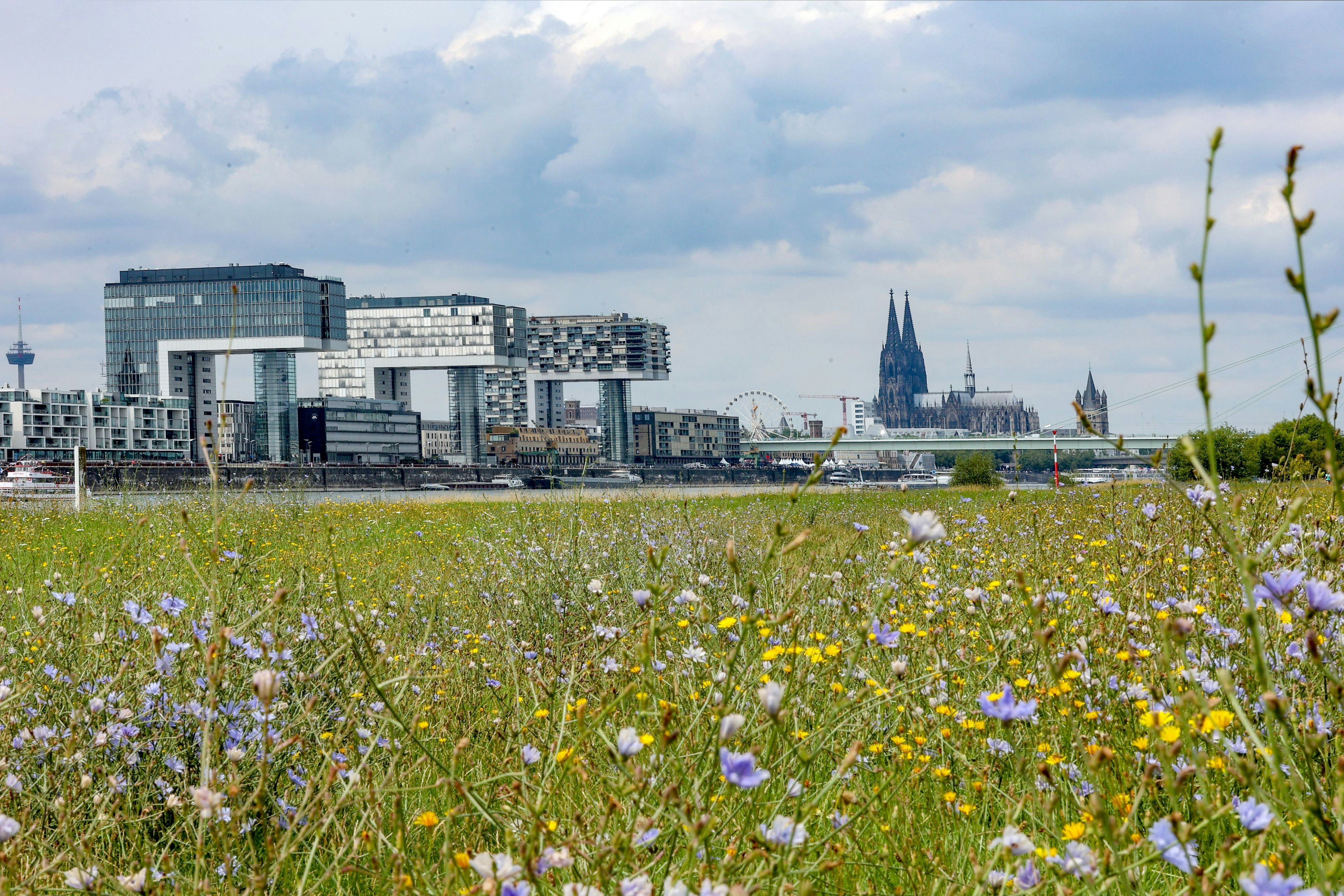 Festivals, Fußballfest, Kirmes: 15 Tipps für das Wochenende rund um Köln