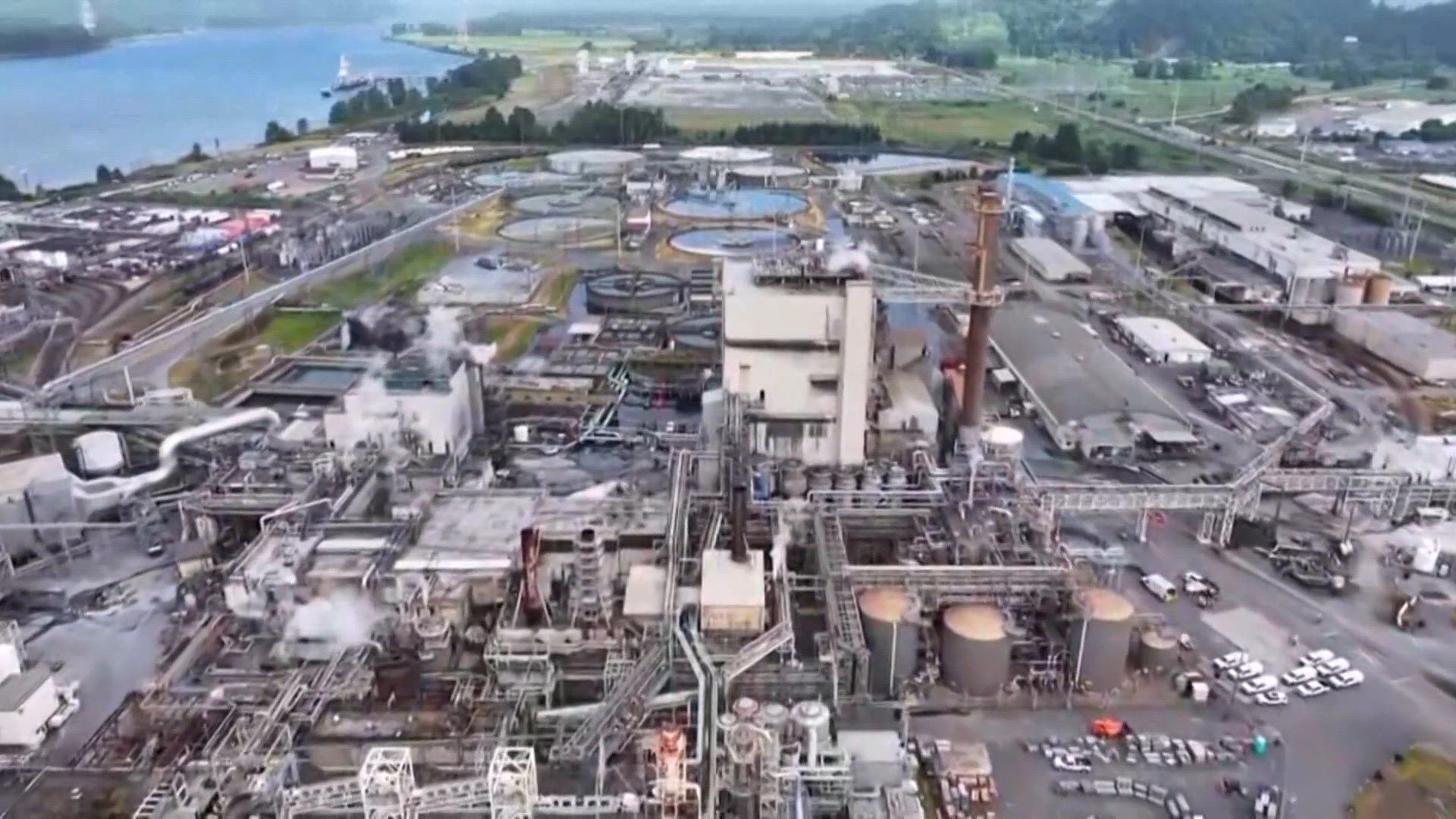 Nearly 2K fish found dead after paper mill implosion
