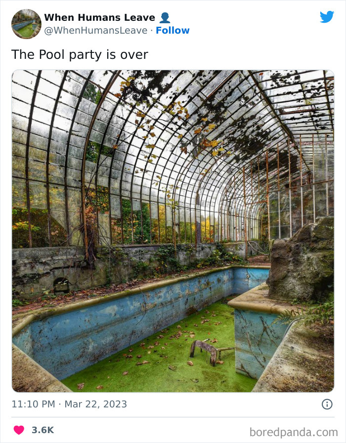 34 fascinating abandoned locations where nature is reclaiming the land