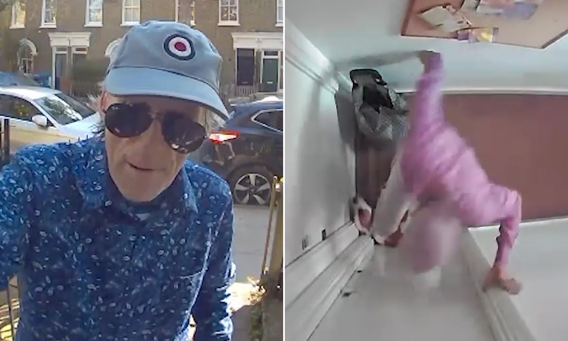 Thug caught on CCTV repeatedly stamping on bulldog's head is banned ...