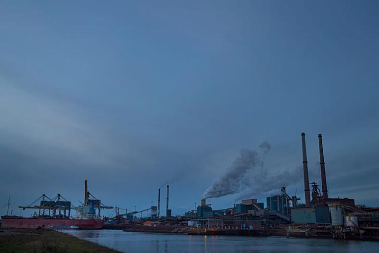 Former Dutch environmentalist who took controversial job at Tata Steel ...