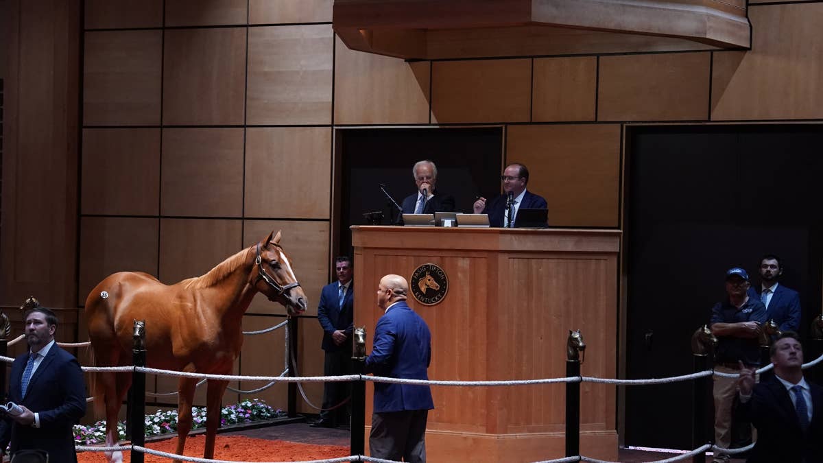 Catalog for 2026 Fasig-Tipton July yearling sale now online