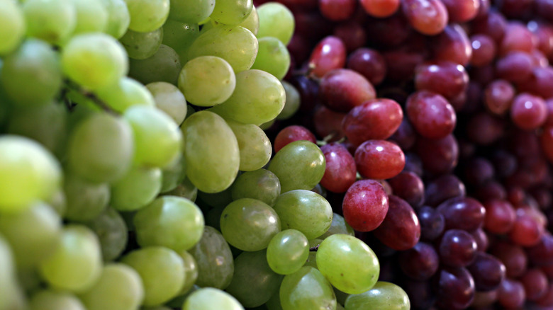 17 different types of grapes explained