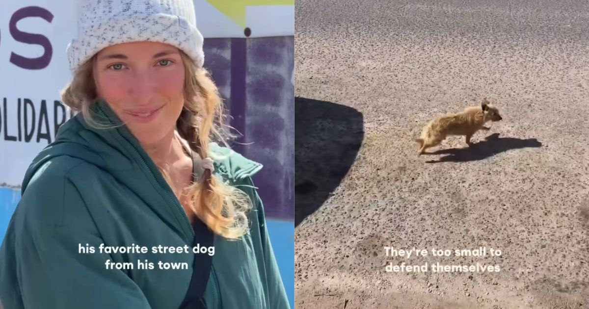 Local man desperate to give street dog a better life rescues him