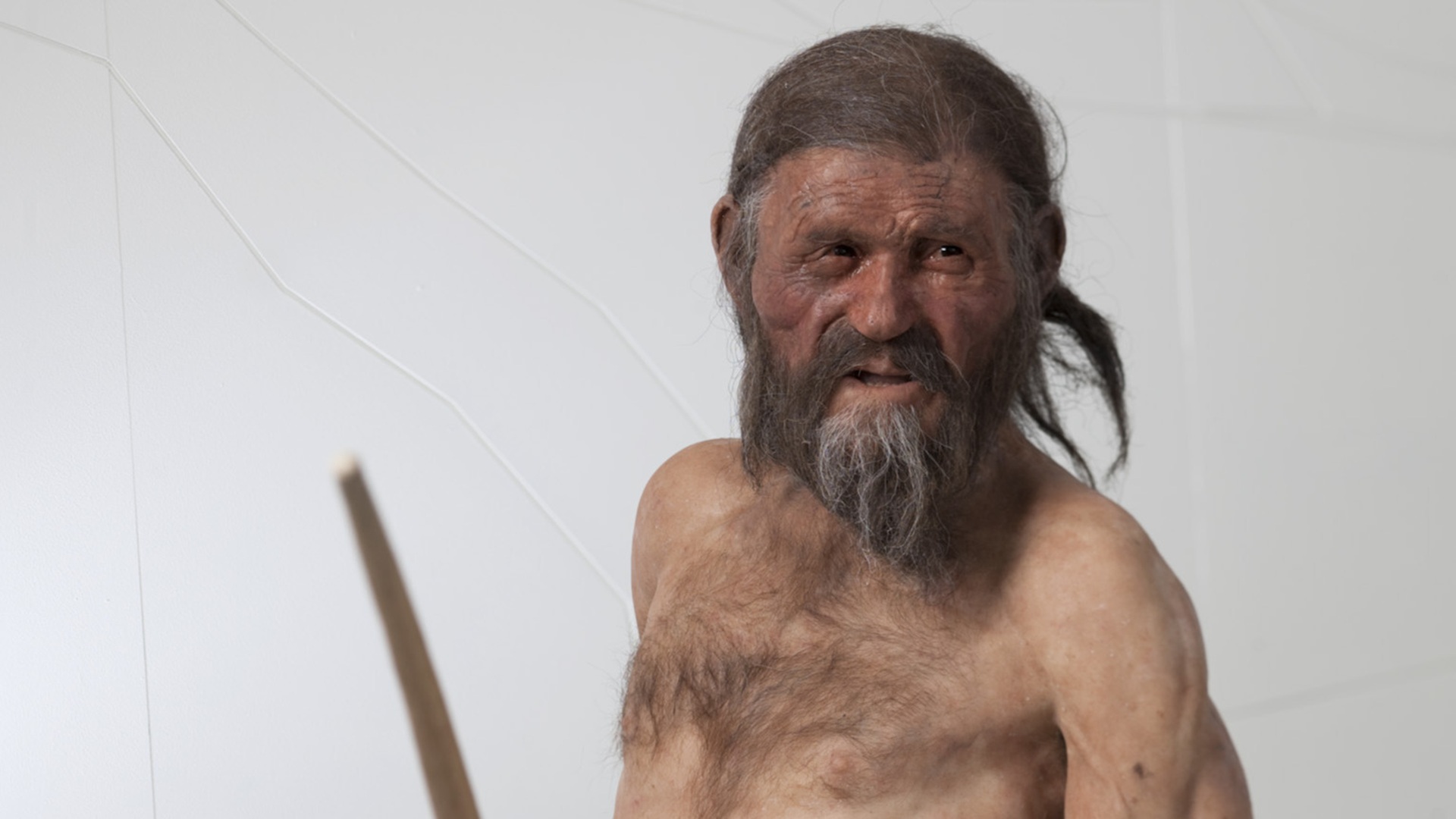 Scientists just baked 5,300-year-old yeast from Ötzi the Iceman into ...