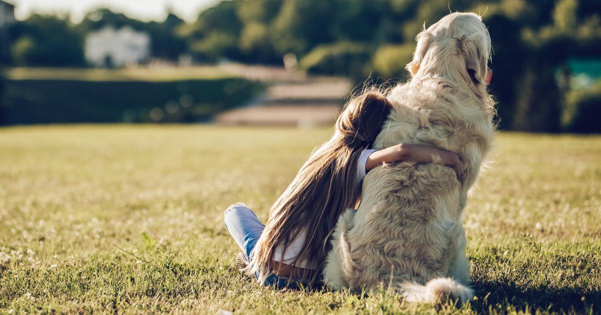 30 things nobody tells you before getting a dog (but you need to know)