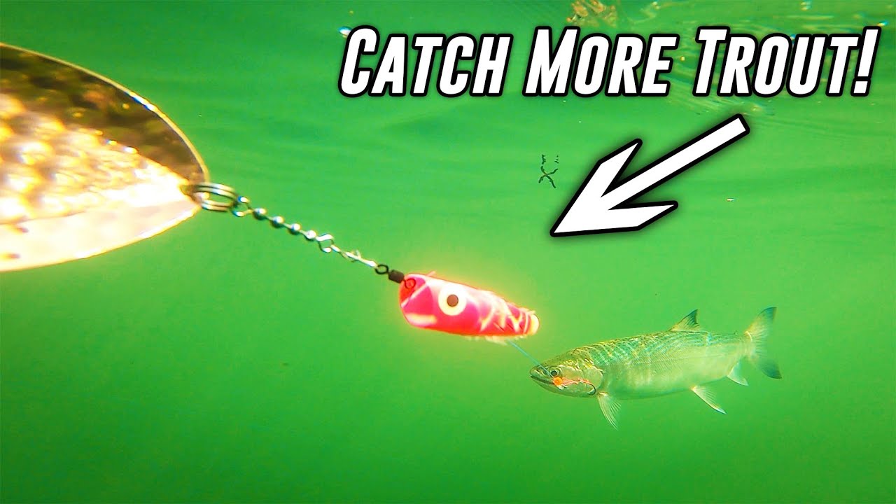 2 new secret trout fishing techniques! (Must see)