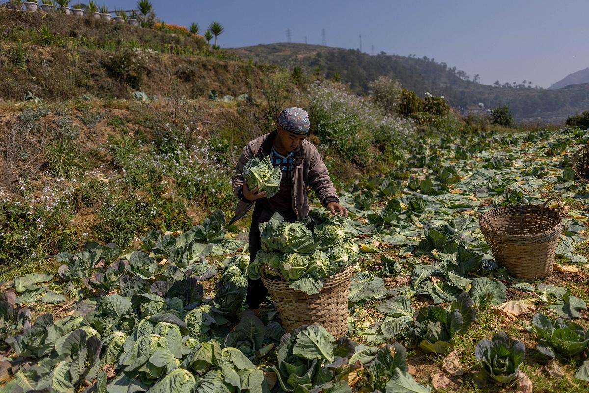 Construction of farm-to-market roads seen in August