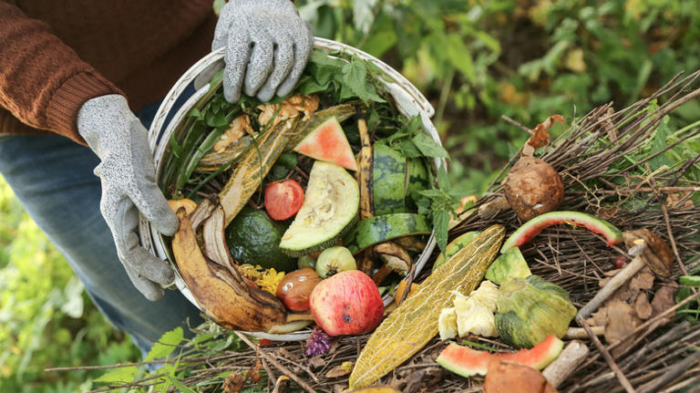 Neither banana peels nor eggshells: The unexpected scrap to toss in ...
