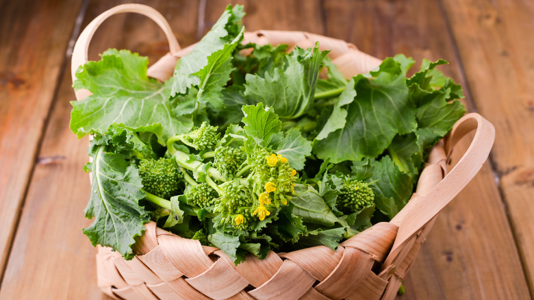 Everything you need to know about turnip greens
