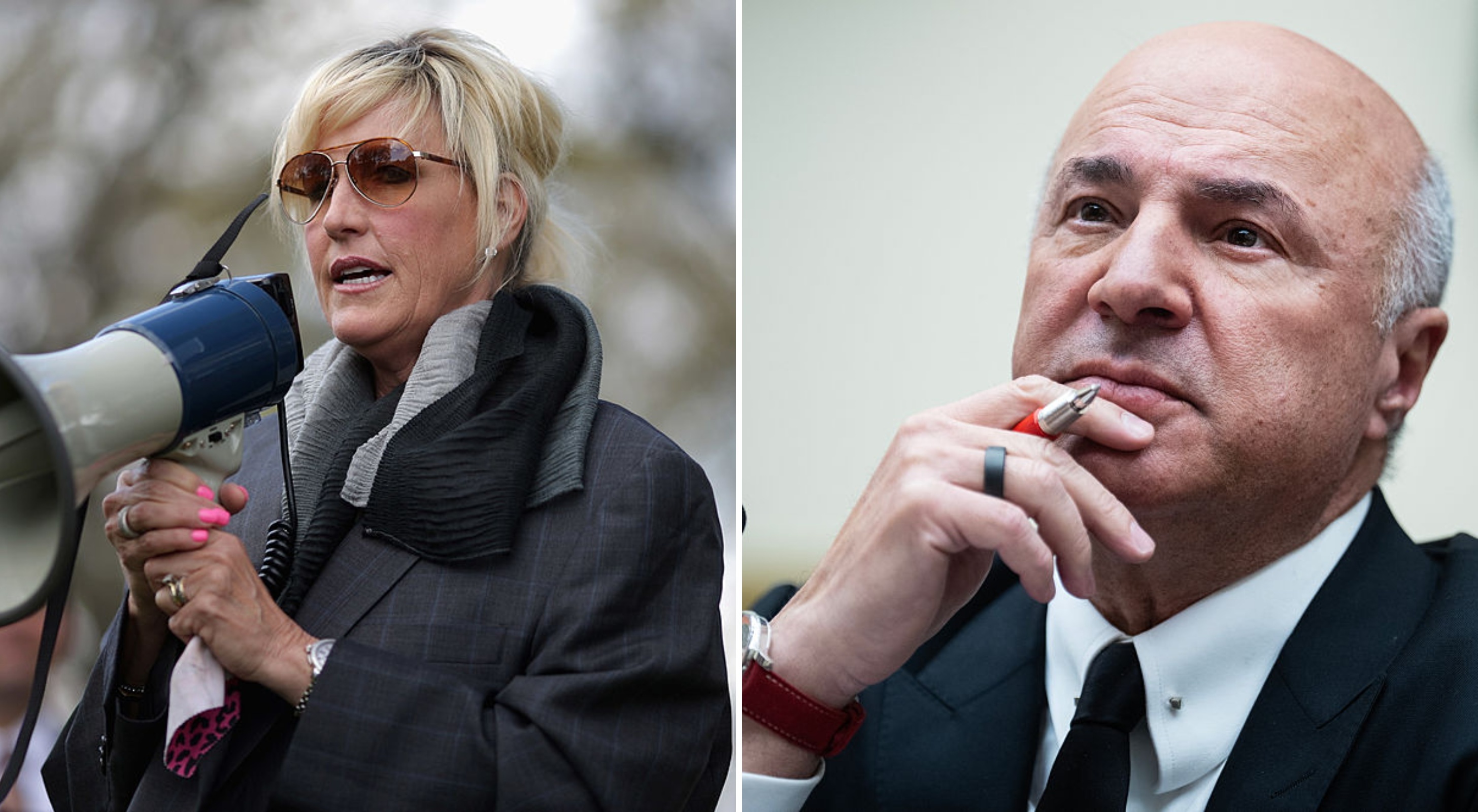 'Shoved down their throats': Erin Brockovich is fighting AI data ...
