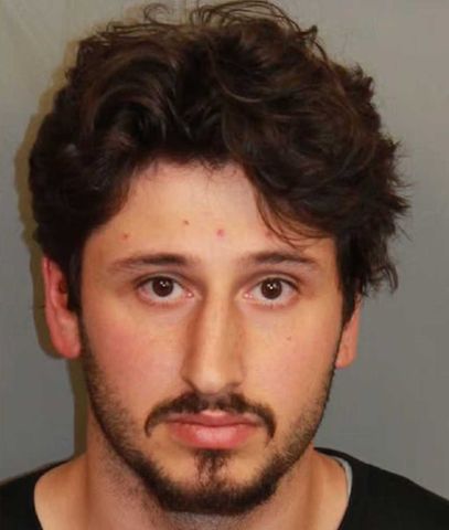 21-year-old man arrested for allegedly throwing 5 kittens out of his ...