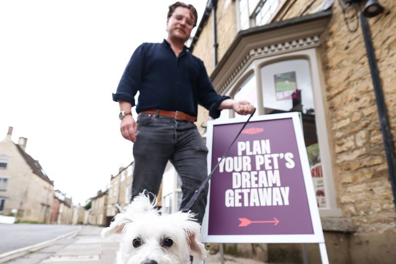 'Pet parents' ditching trips abroad for UK holidays with pets 'at the ...