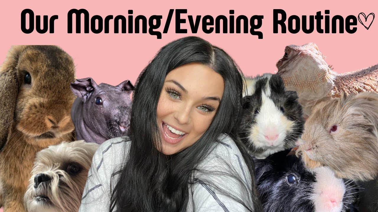Our morning and evening pet routine full of cuteness