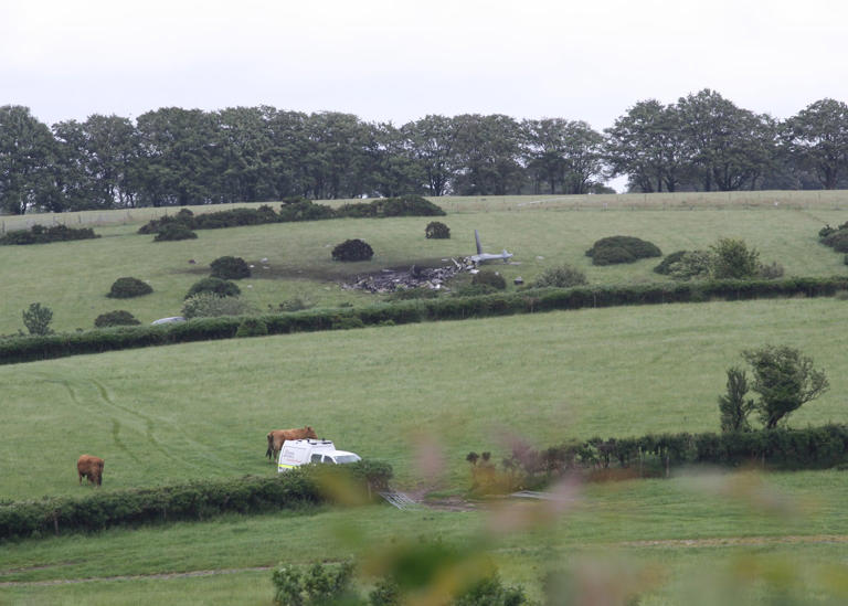 Royal Navy helicopter crashes into Devon field