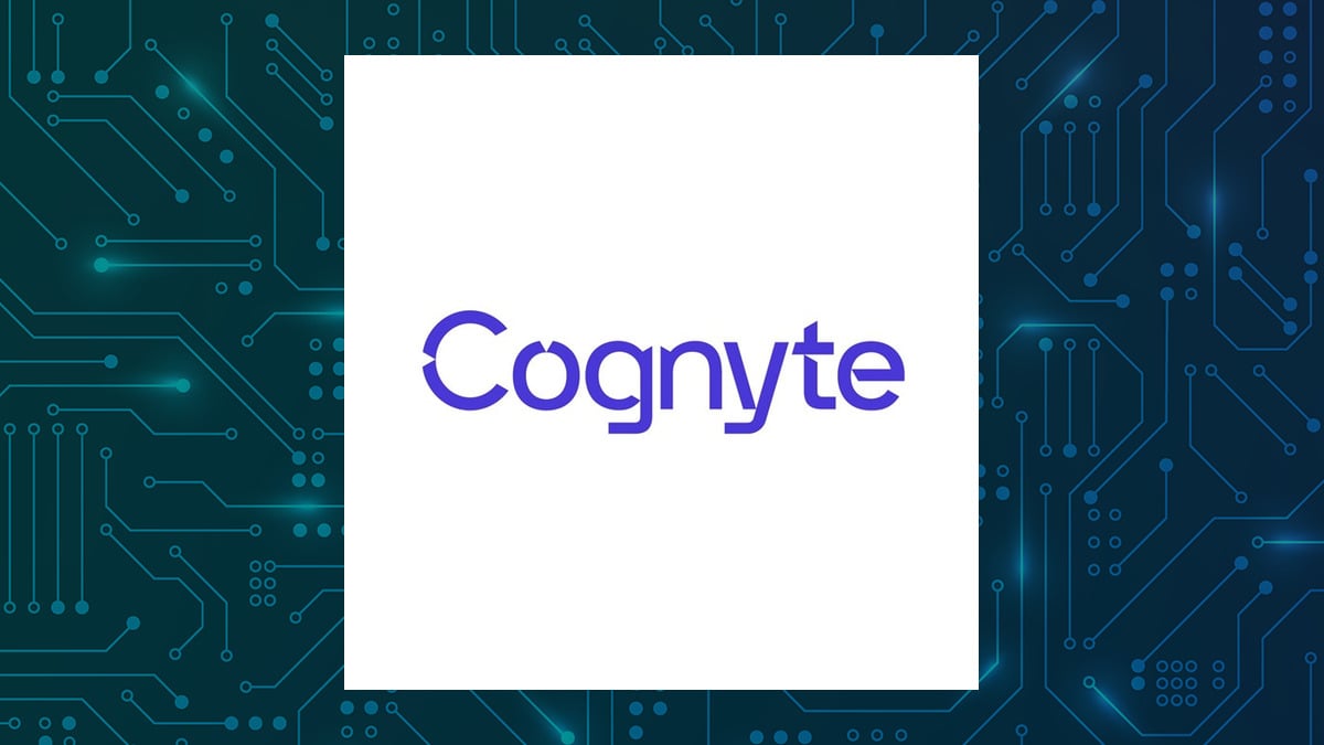 Cognyte Software Q1 earnings call highlights