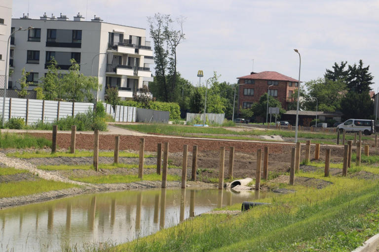 Budują nowy park z ośmioma stawami na Wacynie w Radomiu. Zobacz, jak ...
