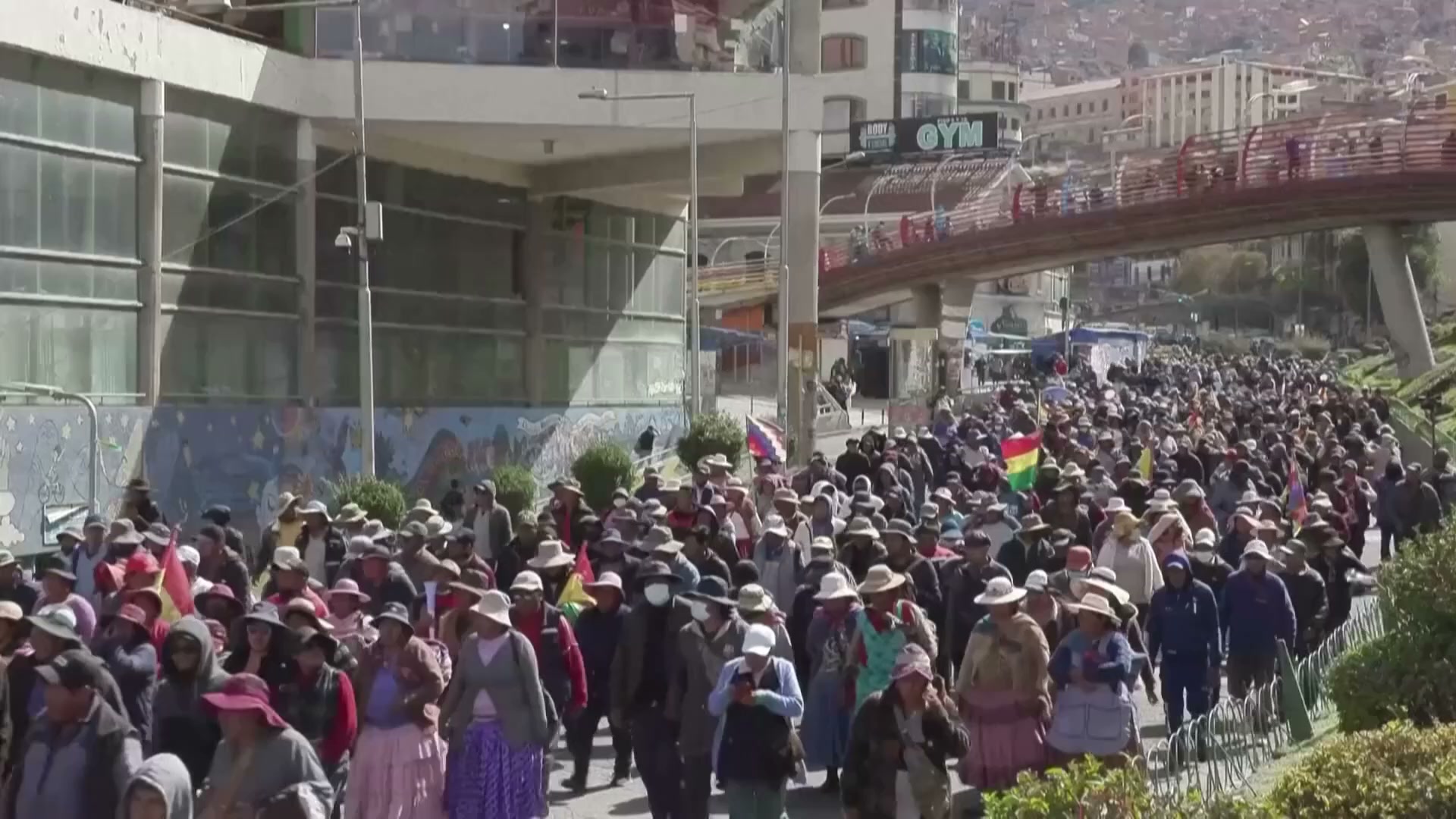 Bolivian ministers resign as weeks of protests against economic crisis ...