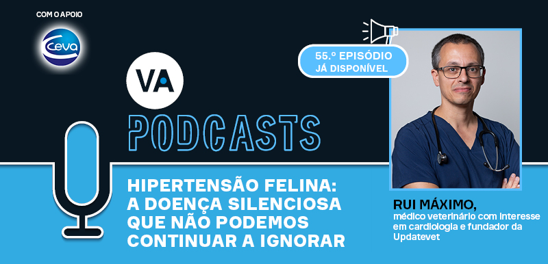 Hipertensão felina: a doença silenciosa