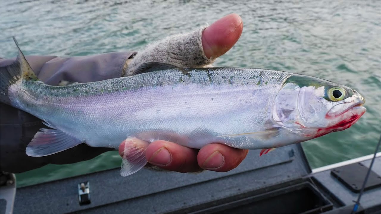 Trout fishing tips from the pros