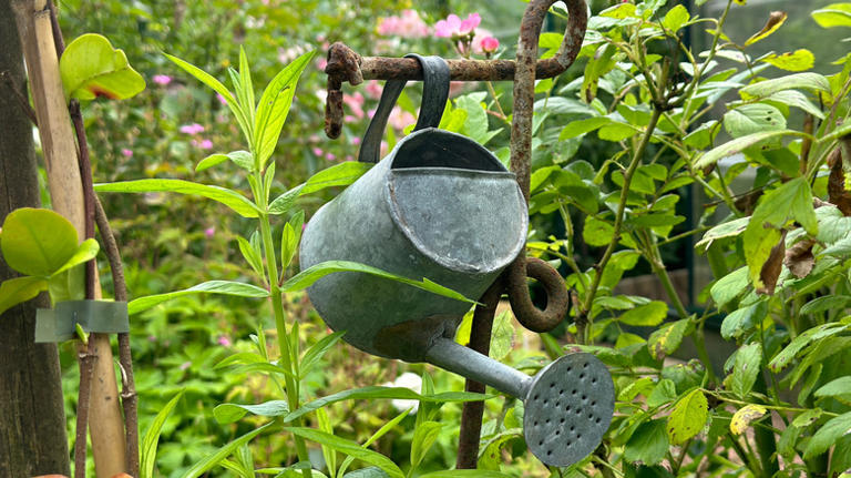 Make your garden feel more sentimental with the nostalgia gardening trend