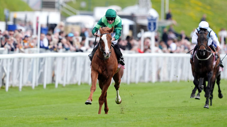 Benvenuto Cellini handed stall 12 in Derby draw