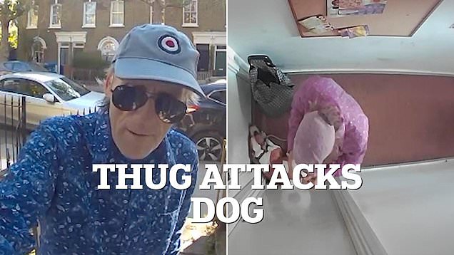 Thug caught on CCTV repeatedly stamping on bulldog's head
