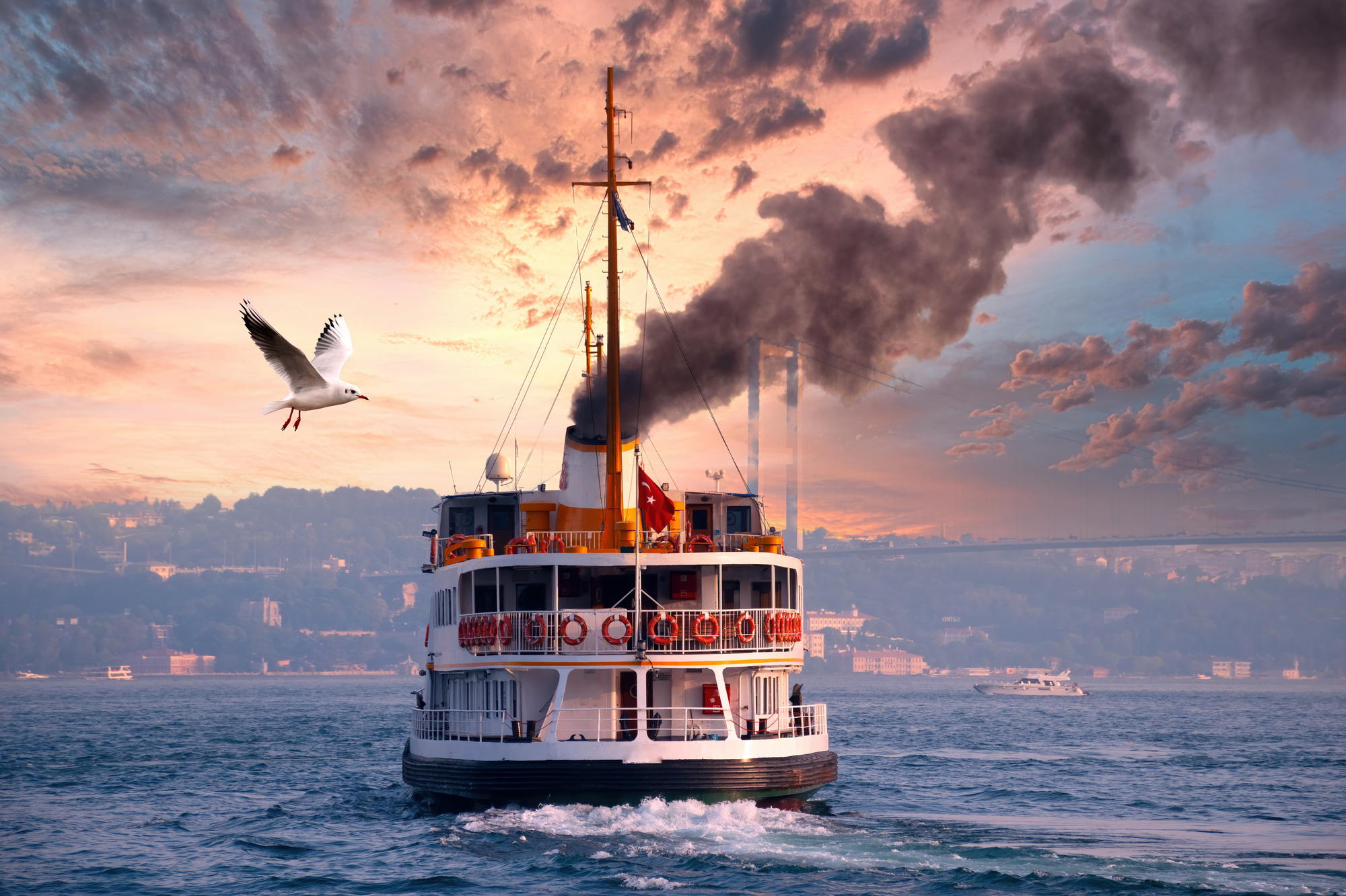 15 steamboat cruises for history lovers